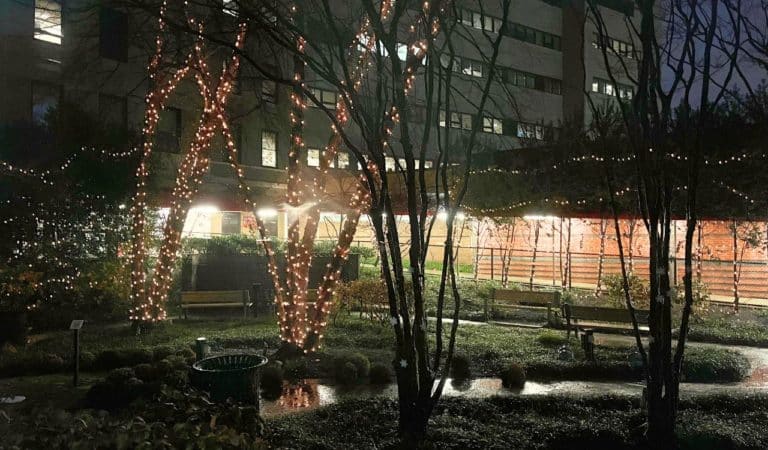 Cooper Trauma’s 16th Annual Season of Hope & Healing: Snowflake ...