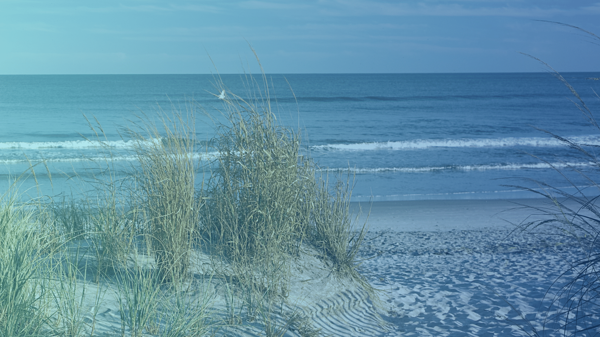 MC Hero Image Designer House Tour (4) | The Cooper Foundation